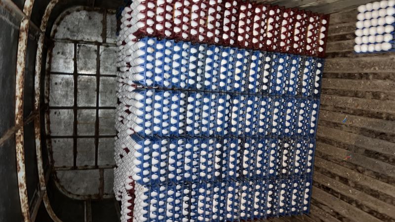 BPC Trading in Belagavi - Trader of Fresh Eggs & Poultry Eggs