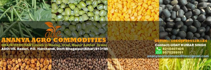 Ananya AGRO Commodities in Bhagalpur - Trader of Indian Pulses & Pea Beans