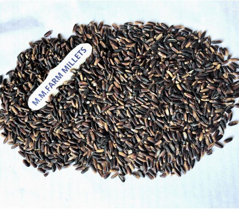 Black Rice - Karuppu Kavni Rice for Human Consumption, Cooking at Rs ...