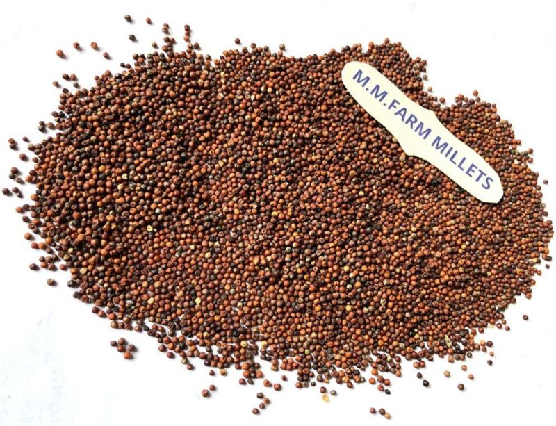 Ragi - Finger Millet for Cooking at Rs 40 in Madurai - ID: 7490144 | MM ...