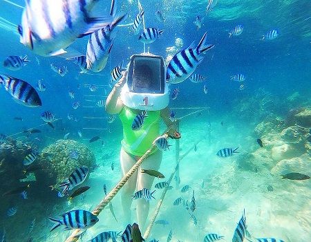 Sea Walk Tour at Best Price in Port Blair - ID: 7514296 | Andaman ...