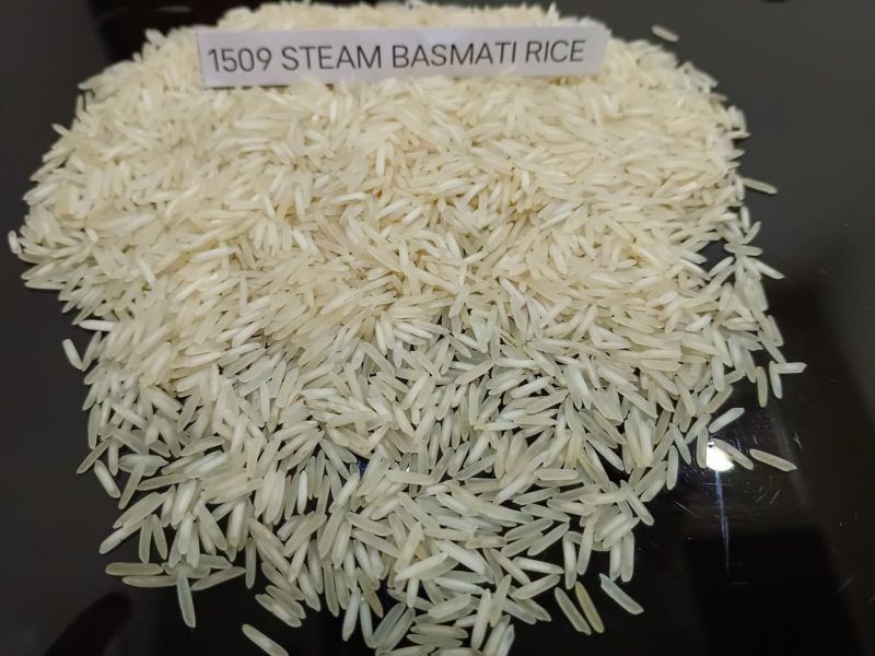 Naitik Global Organic Hard 1509 Steam Basmati Rice For Cooking, Food ...