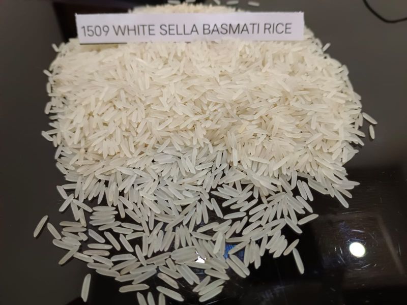 1509 White Sella Basmati Rice at Rs 65 in Delhi - ID: 7607649 | Naitik ...
