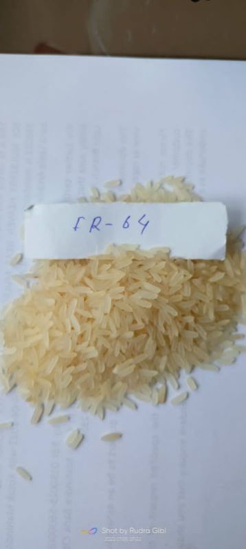 Organic ir64 Chawal, Variety : Short Grain Rice at Rs 30 in Delhi - ID ...