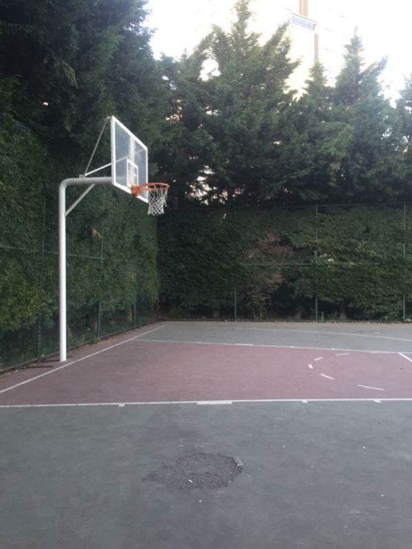 Nexon Polished Iron Mini Basketball Post at Rs 25000 in Meerut - ID ...