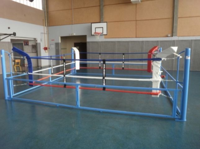 Folding boxing ring 16 feet, Model Number : NEX.0044 at Rs 400000 in ...