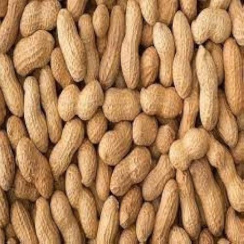 Organic Shelled Groundnuts, Color : Light Brown at Rs 62 in Bhavnagar ...