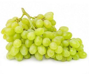 Natural Fresh Grapes, Color : Green For Human Consumption at Rs 35 in ...