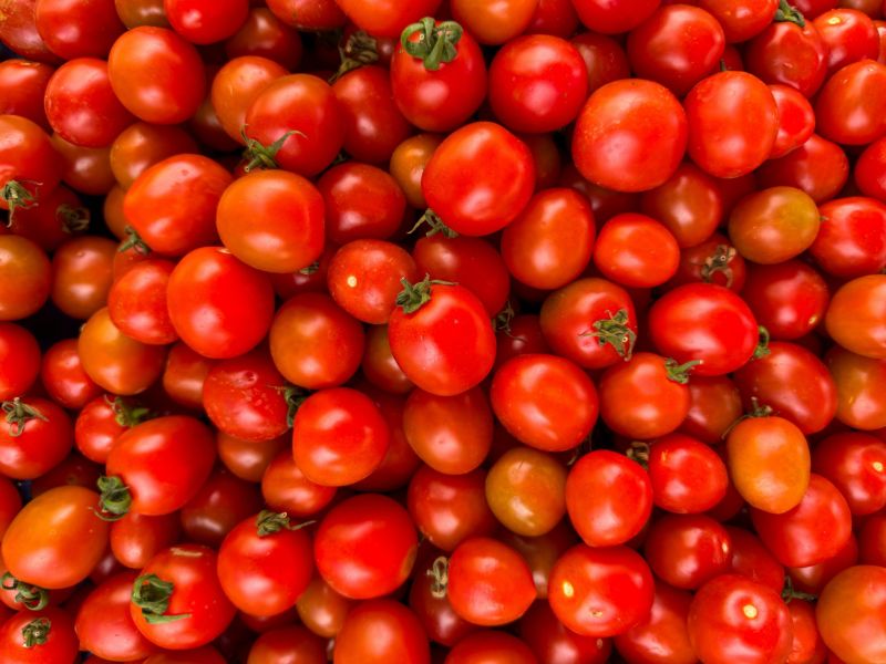 Tomato, Color : Red at Best Price in Ahmedabad - ID: 7810150 | Indiankings