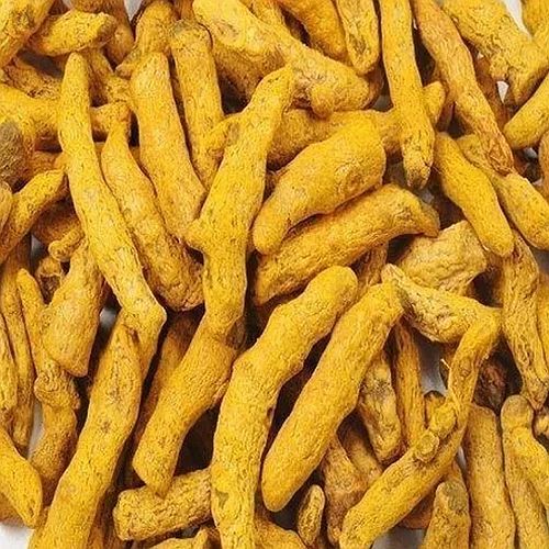 A Grade Turmeric Finger, Color : Yellow, Packaging Type : Bag at Rs 150 ...