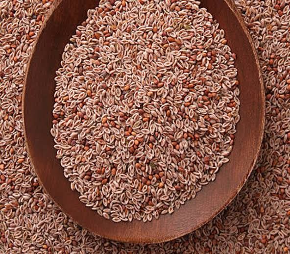 Isabgol Psyllium Husk, Color : Brown, Creamy Dried at Rs 210 in Pune ...