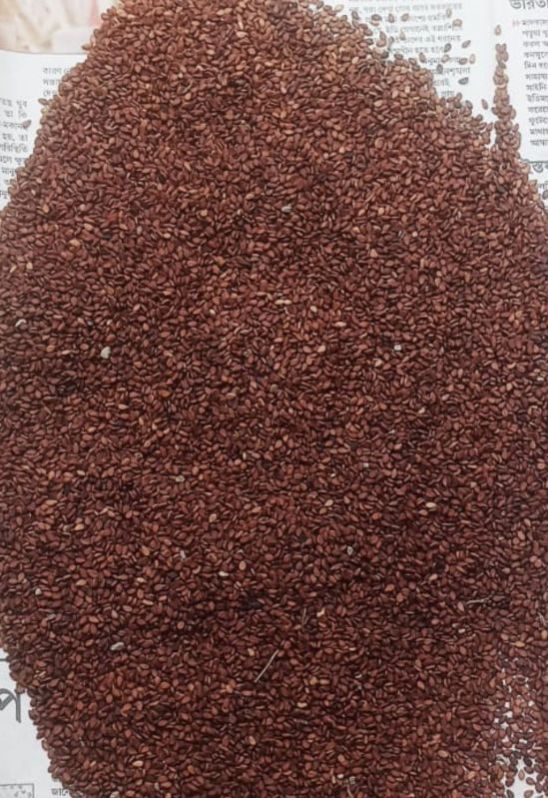 Red Sesame Seeds, Seed Type : Hulled, Packaging Size : 5-25kg at Best ...