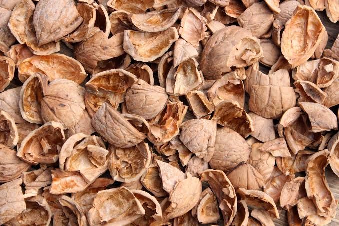 An-Nur Traders in Baramula - Supplier of Walnut Shells