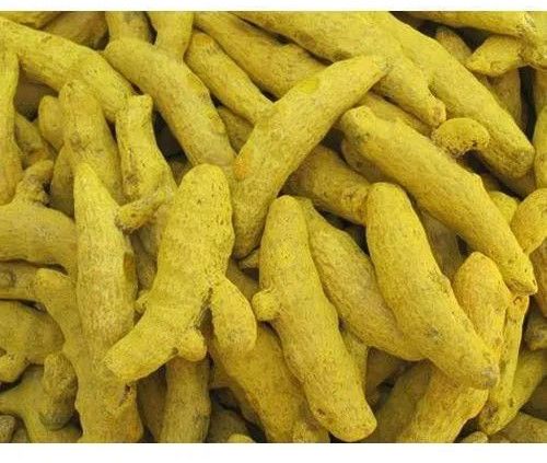 Natural Curcuma Longa Turmeric Finger, Color : Yellow at Best Price in ...