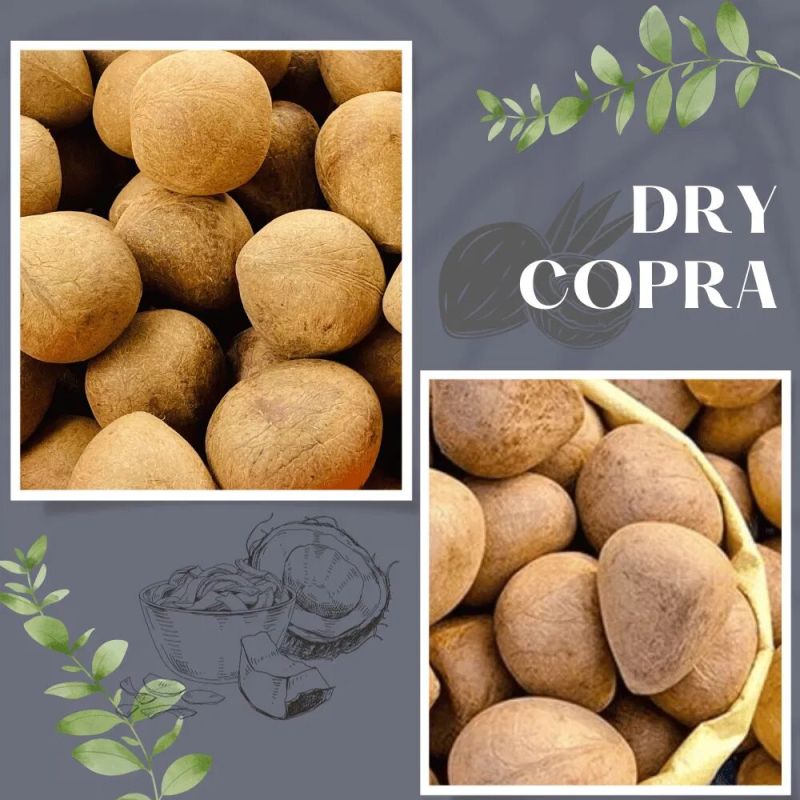 Organixa Whole Dry Copra at Best Price in Bangalore - ID: 7342376 ...
