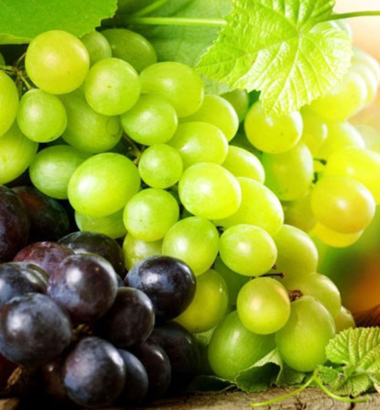 Organic Grapes, Color : Green, Taste : Sweet for Human Consumption at ...