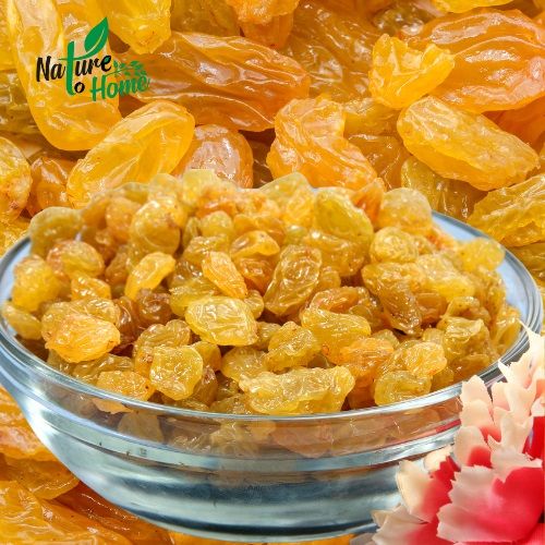 Golden Raisin at Best Price in Darbhanga - ID: 8008496 | NATURE TO HOME ...