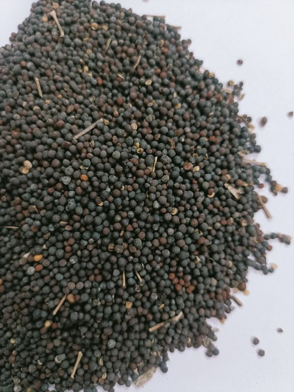 Black Mustard Seeds, Packaging Type : Packet at Rs 58 in SANTIPUR NADIA ...