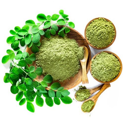 Raw Moringa Leaf Powder, Color : Green at Best Price in Buldana - ID ...