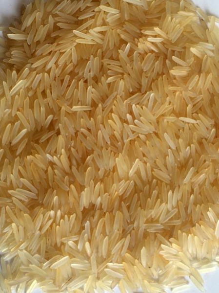 Non Basmati Rice at Best Price in Ahmedabad | Nyasa corporation