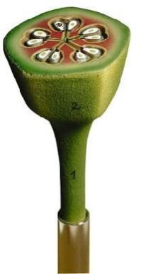 LAB CARE SCIENTIFIC INSTRUMENT in Malappuram - Retailer of Microscope ...