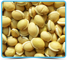 Val Beans at Best Price in Navi Mumbai | LALJI HIRJI & SONS
