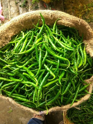 Fresh Green Chilli, Packaging Type : Sack Bag Or Baskets by Gyan ...