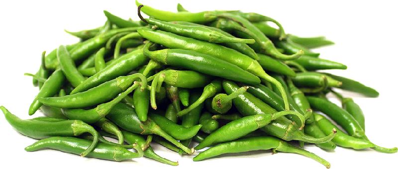 Fresh Green Chilli at Best Price in Nashik | Yograj Exim and Enterprises