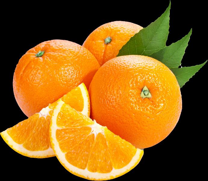 Fresh Orange - Sunlight Pyramid International LLP INDIA, Navi Mumbai ...