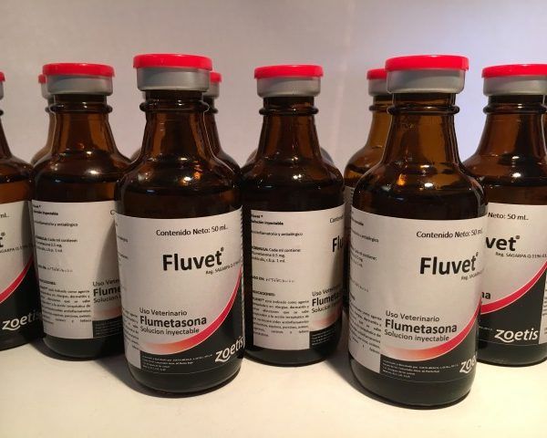 60ml Toltrazuril Baycox Paste Costco Special Instant Savings Promotion ...