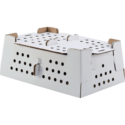 Brown Corrugated Chick Packaging Boxes, INR 25 / Piece by Dhiraj ...