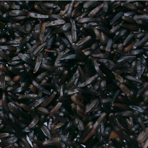 Agro Input Solution Co. ltd in Bolifamba - Supplier of Niger Seeds ...