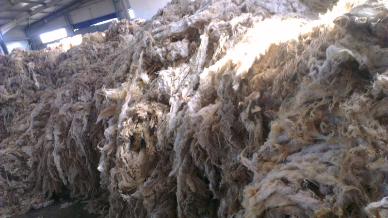 D&I Taraboulous Bros - Exporter of Greasy Balkan Wool & Greasy Carpet Wool