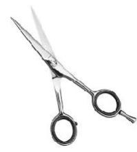 Prince Surgical Co. in Jalandhar - Retailer of Barber Scissors ...