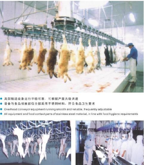 Rabbit Processing Equipment