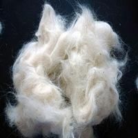 The Motion Arts in Delhi - Retailer of Barcode Stickers & carry paper bags