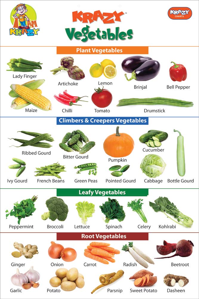 Krazy Vegetables Chart Manufacturer Manufacturer From India ID