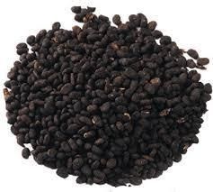 Psoralea Corylifolia Seeds - Manufacturers, Suppliers & Exporters in India