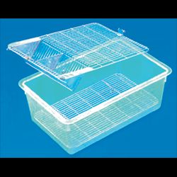 Laboratory Animal Cages by Orchid Scientific & Innovative India Pvt ...