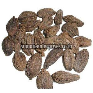 Elaichi in Tamil Nadu - Manufacturers and Suppliers India