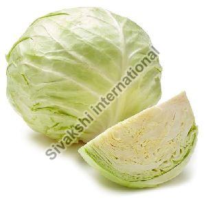 Cabbage - Get Latest Price & Mandi rates from Dealers & Traders ...
