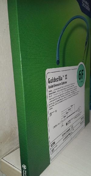Guidezilla-ii Guide Extension Catheter at Rs 24000 in delhi - ID: 6729225