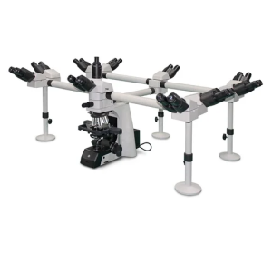 Multi Head Microscope - Multi Viewing Microscope Price, Manufacturers ...