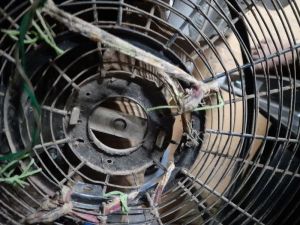 Nayan electric in Howrah - Supplier of Fan Net