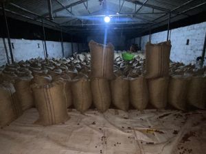 Rayan hiba traders in Chikkamagaluru - Supplier of Supari Chura & Nice second supari