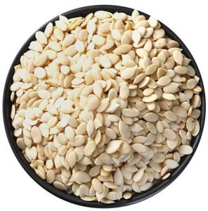 Dried Watermelon Seeds, Color : White at Rs 400 in Varanasi - ID: 8471927