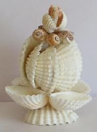 Shell Crafts - Manufacturers, Suppliers & Exporters in India